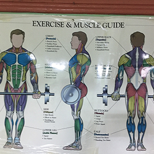 Northern Caribbean University